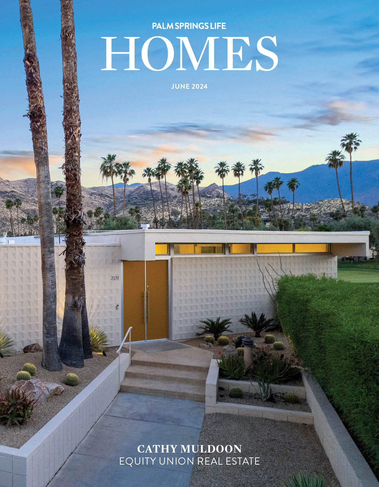 Palm Springs Life HOMES June 2024 – Shop Palm Springs Life